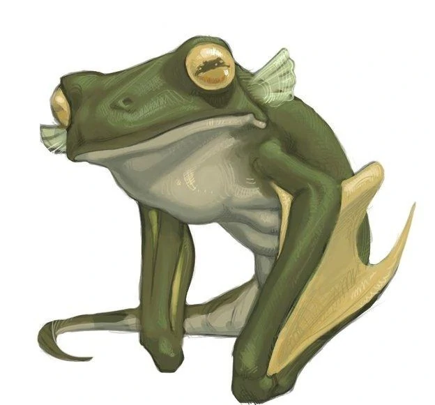 วอเตอร์ ลีปเปอร์ (water leapers) คางคกบินกัดกินเบ็ด แห่งประเทศเวลส์ ...