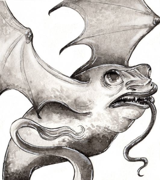 วอเตอร์ ลีปเปอร์ (water leapers) คางคกบินกัดกินเบ็ด แห่งประเทศเวลส์ ...