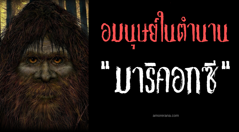 มาริคอกซี (Maricoxi) ครึ่งมนุษย์ขนดกแสนดุร้าย ประเทศบราซิล | อมรณา ...